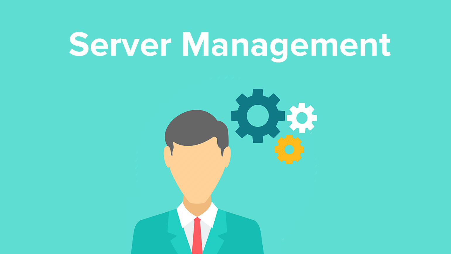 Simtech Development Server Management — Simtech Development