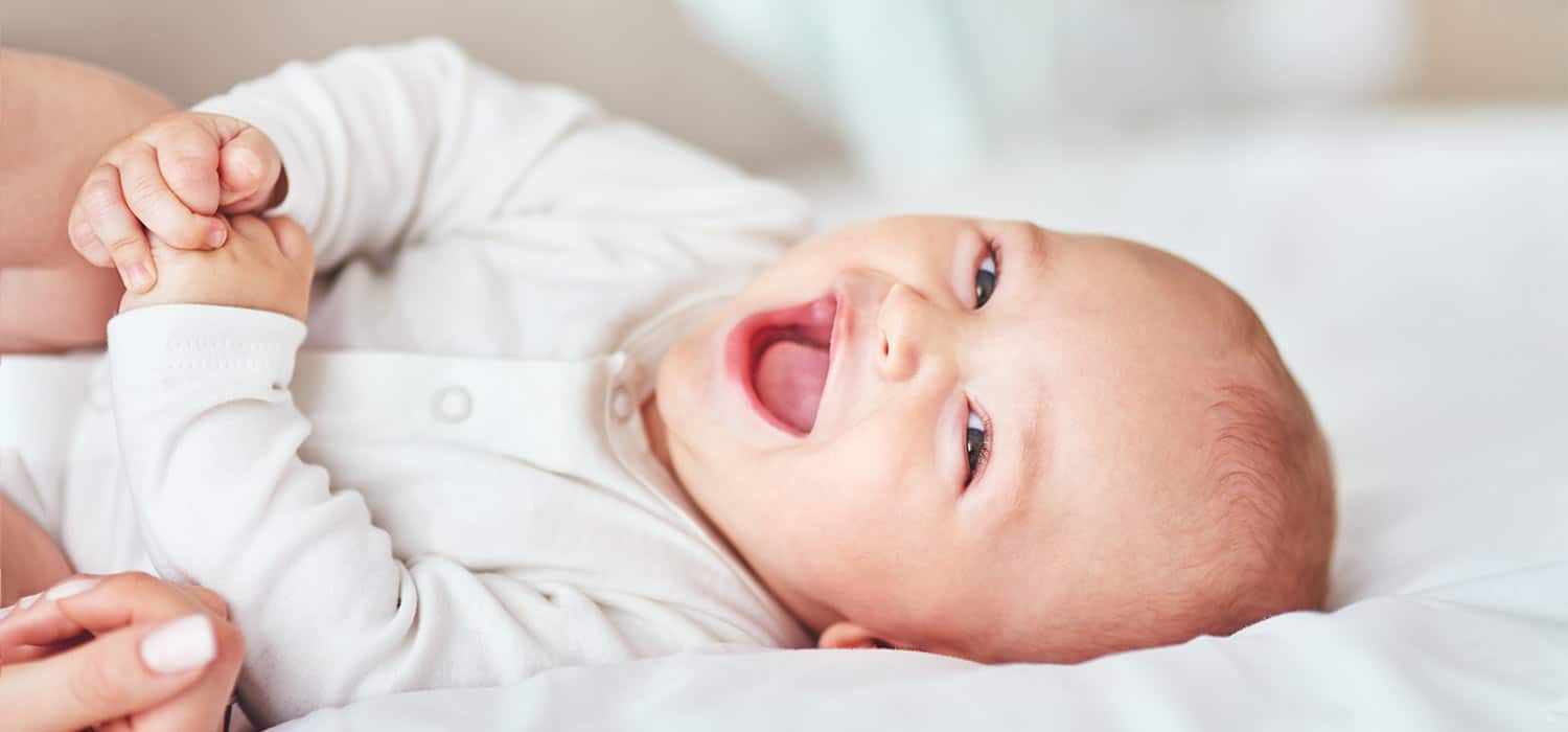 Malishok — Simtech Development